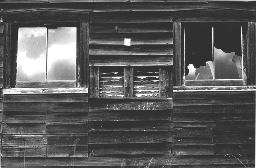 A Photographic Sage: Minor White: Photographer and Contemplative....