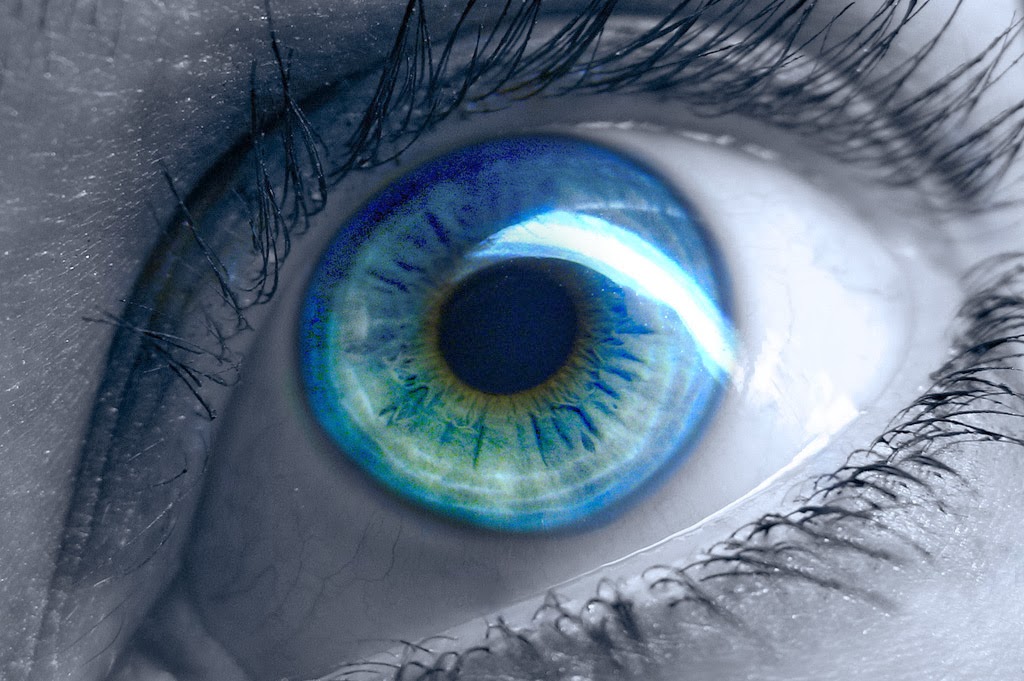 Mistureba aqui tem de tudo: Como, quando e onde surgiram os olhos azuis?