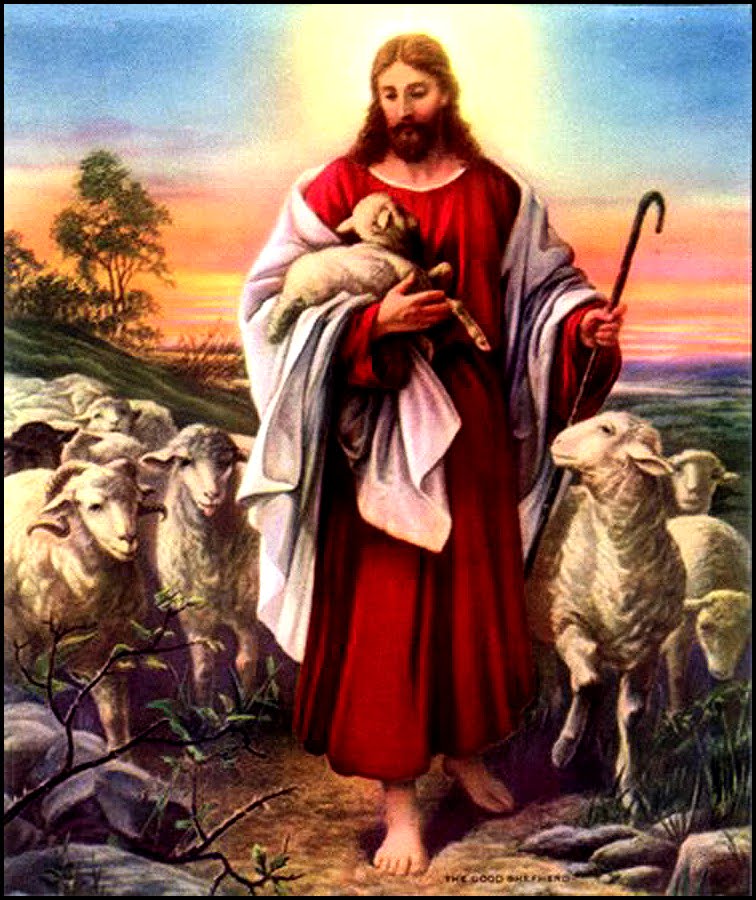 Unity Body of Jesus Christ: MEMBEDAKAN DOMBA DAN KAMBING