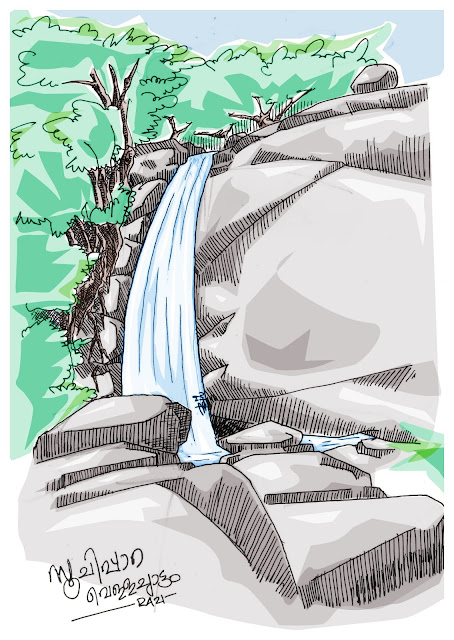 Roadside Razi: .. And that's the way...to Wayanad