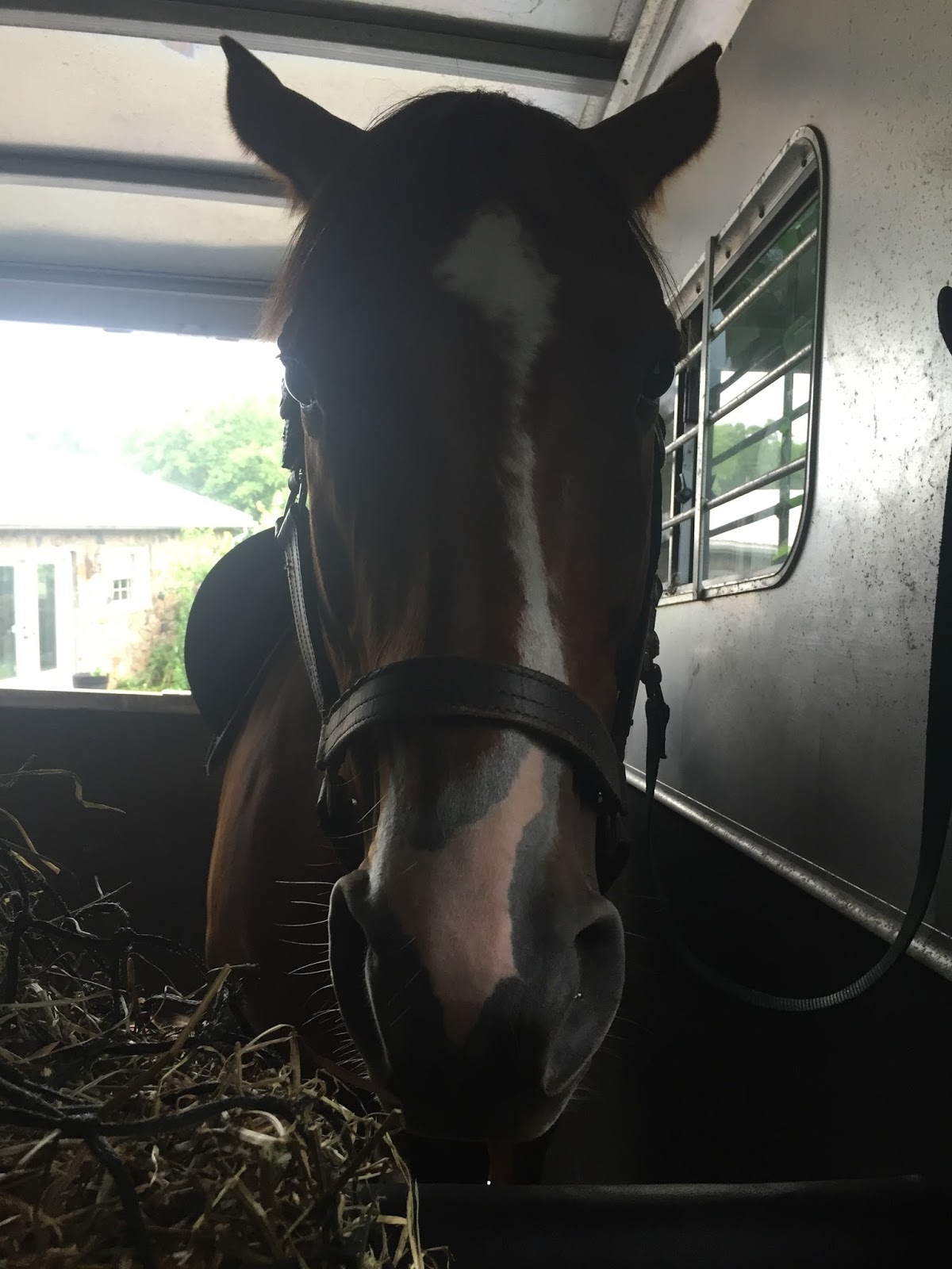 Something To Talk About: Changing the game on a mare = acting like a monkey