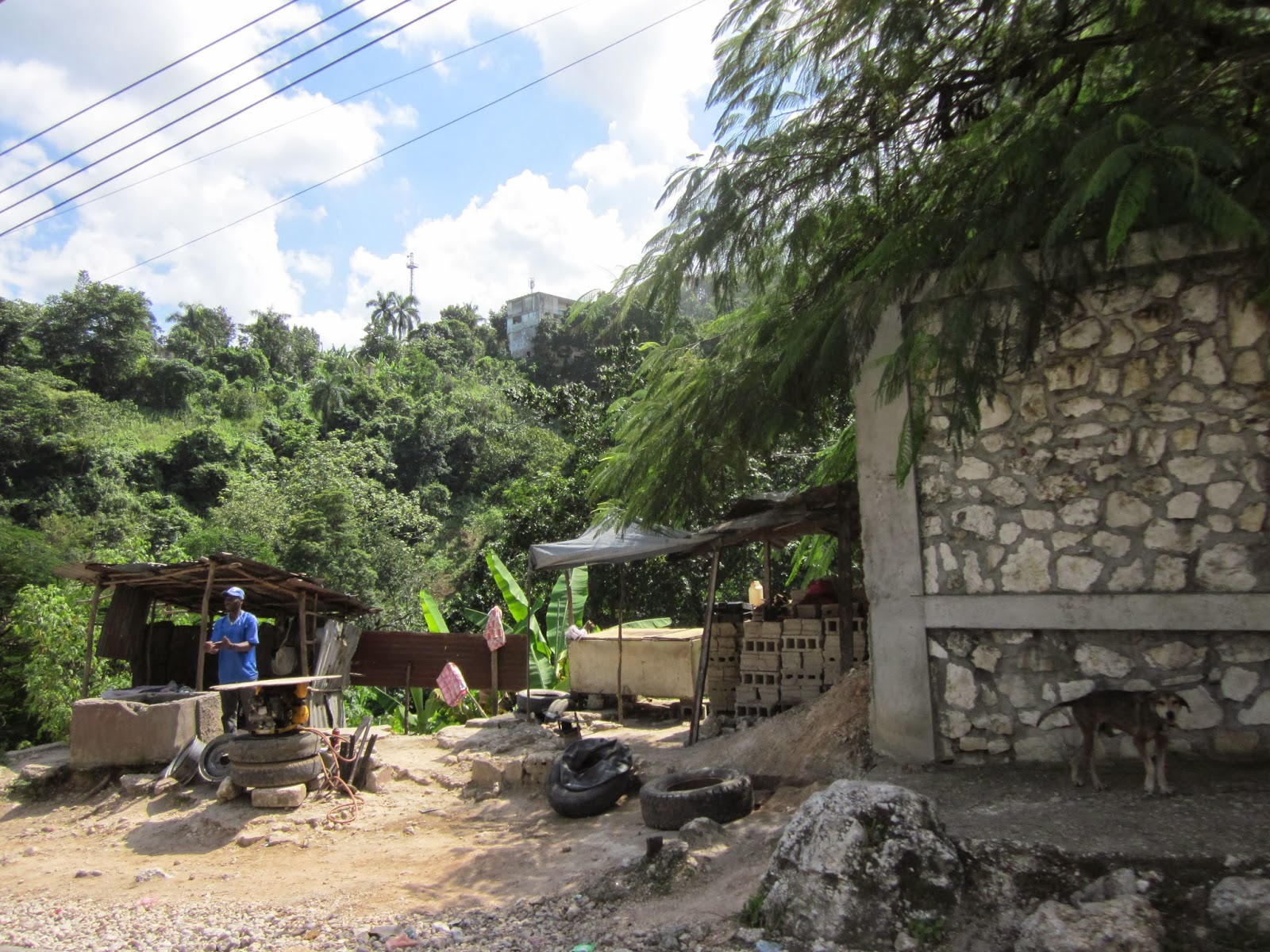 The Pears in Haiti!: Kenscoff