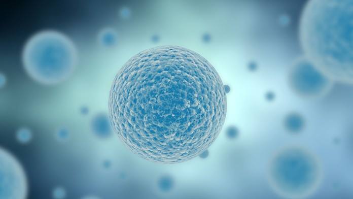 Scienza Scritta: Vita della cellula