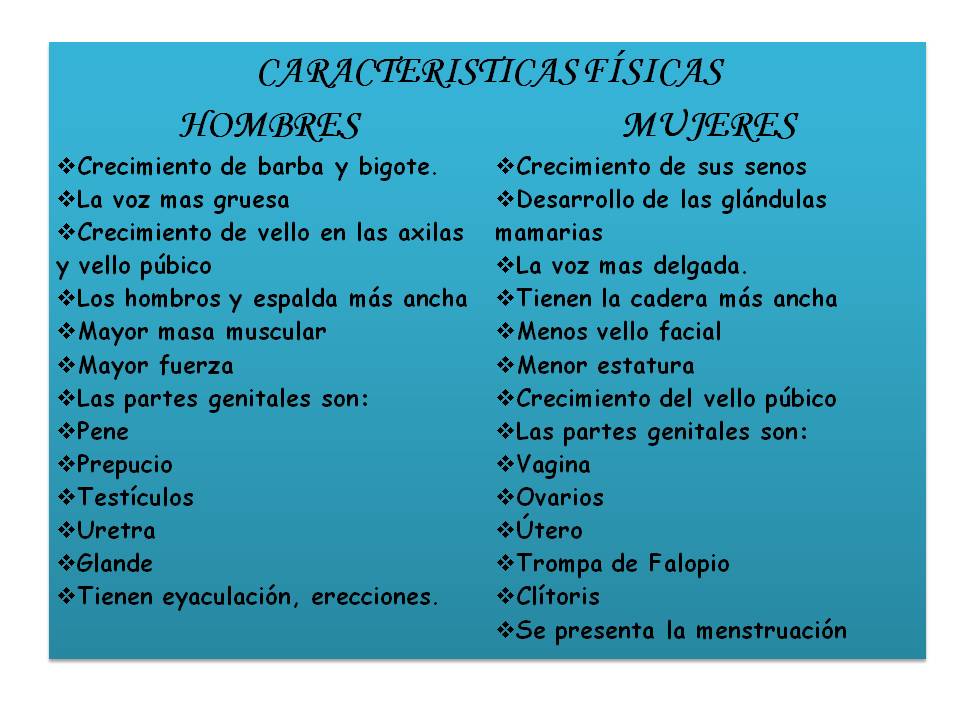 Cuales Son Las Caracteristicas