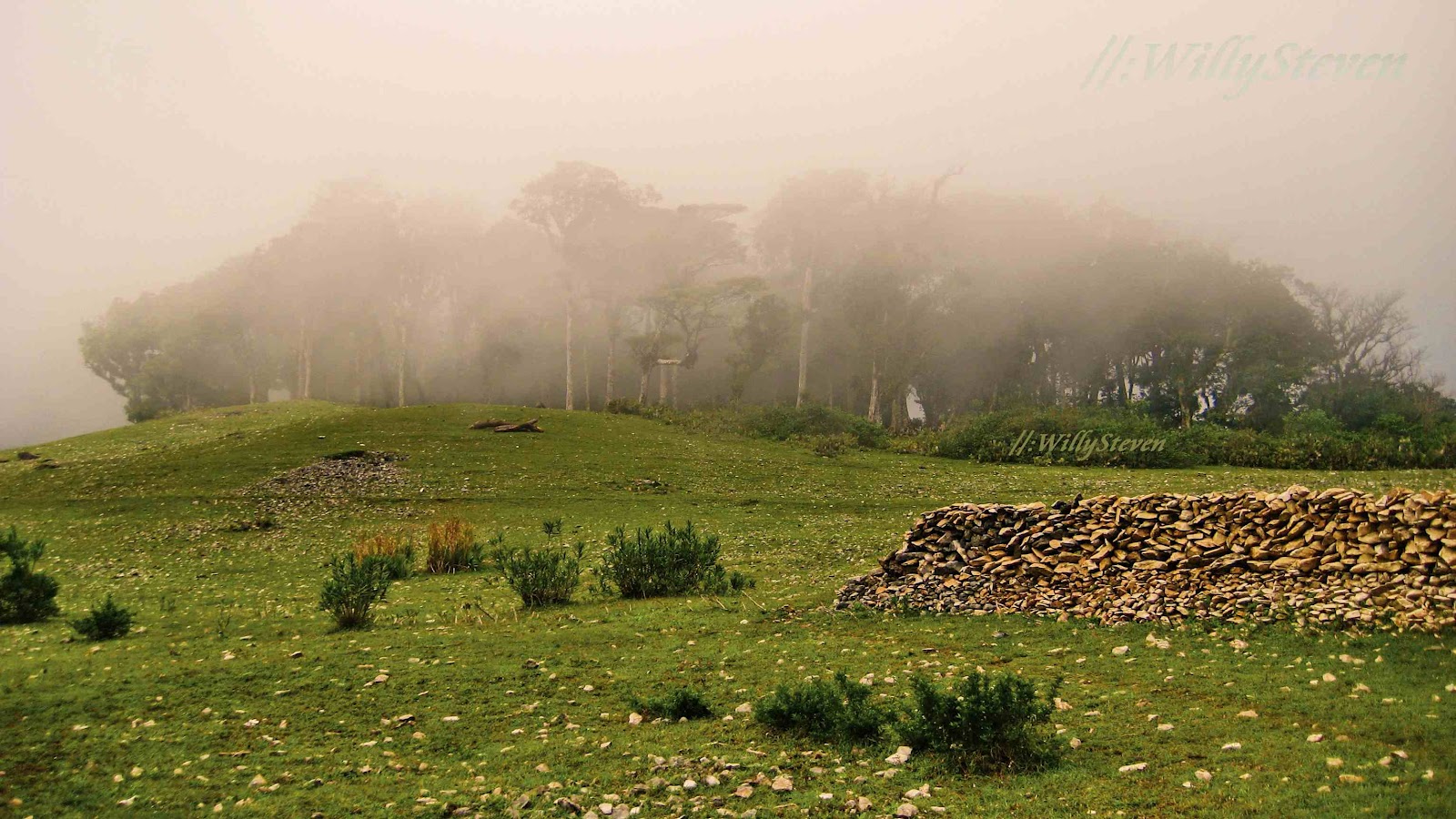 TravellerMeds: Nunbena, a traditional highland village of NTT