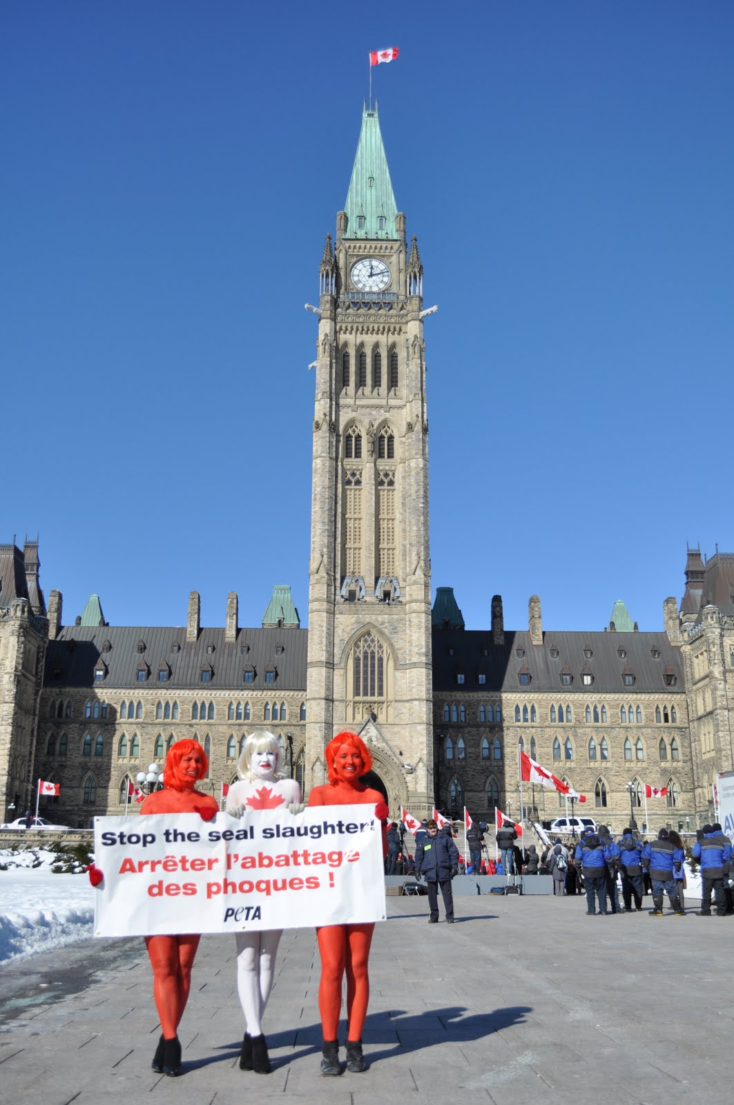 Emily Lavender: Canada Flag Seal Protest