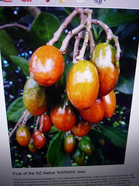 Dianne's Loom Talk: Karaka blanket