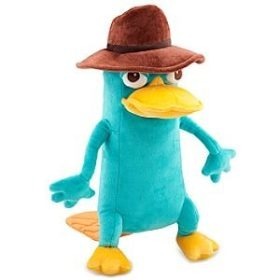 Images of Perry the Platypus