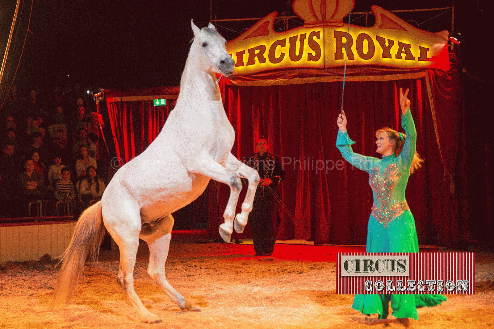 Circus -Collection: Circus Royal 2015 " Panda-Panda", photos du spectacle