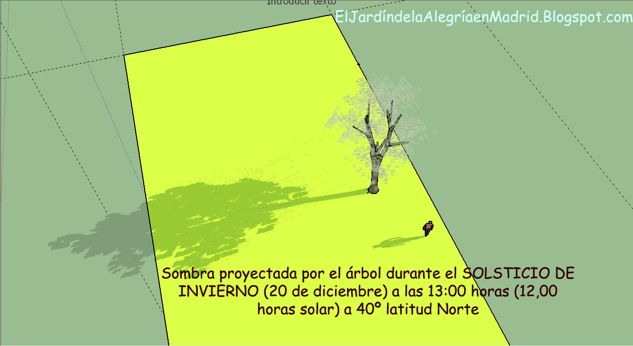 Fragante Generalizar Rama calcular sombras del sol Estallar cuero pakistaní
