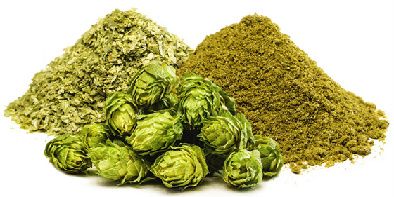 About Health: Hops