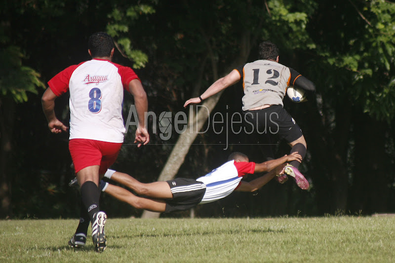 Rugby de Venezuela sigue creciendo