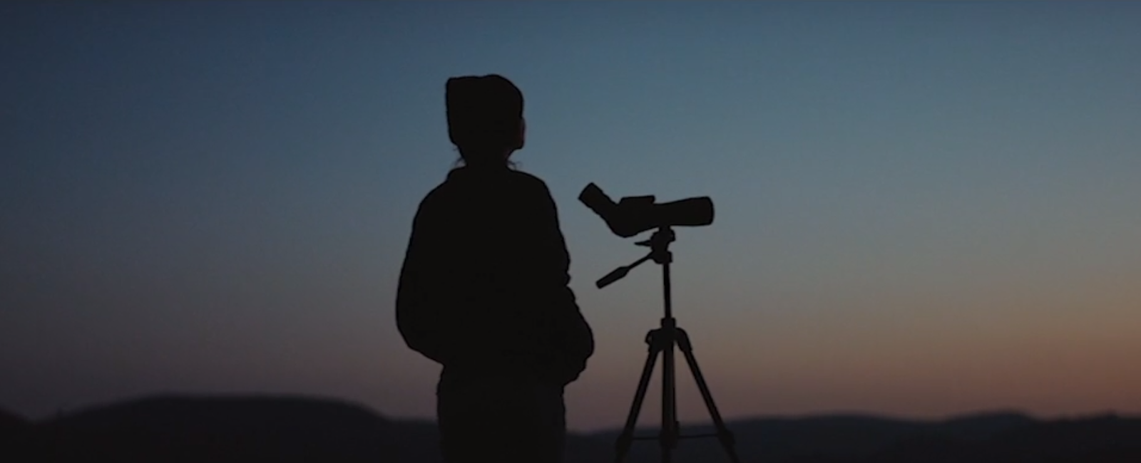 Creating a sense of wonderment while capturing data-driven aviary ...