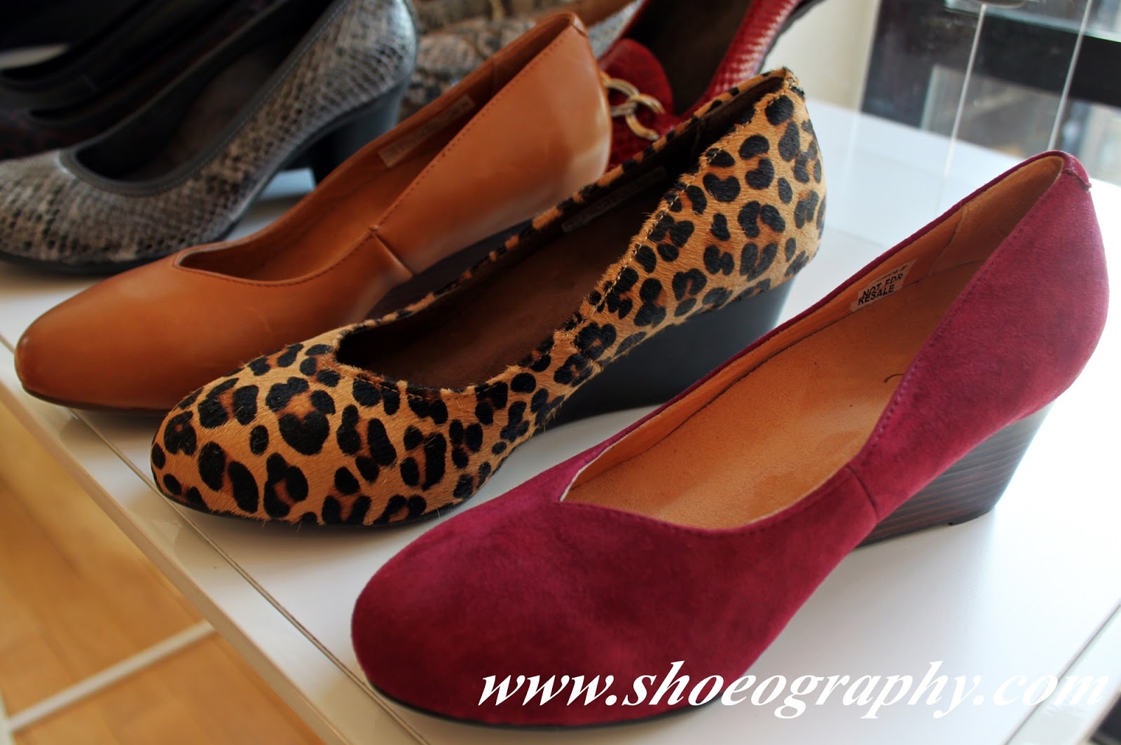 The Season's Stylish Support from Vionic Footwear | SHOEOGRAPHY