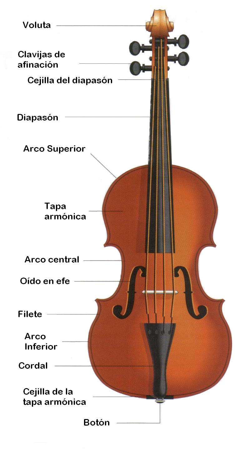 Aprende Violonchelo : Descripción del Violonchelo