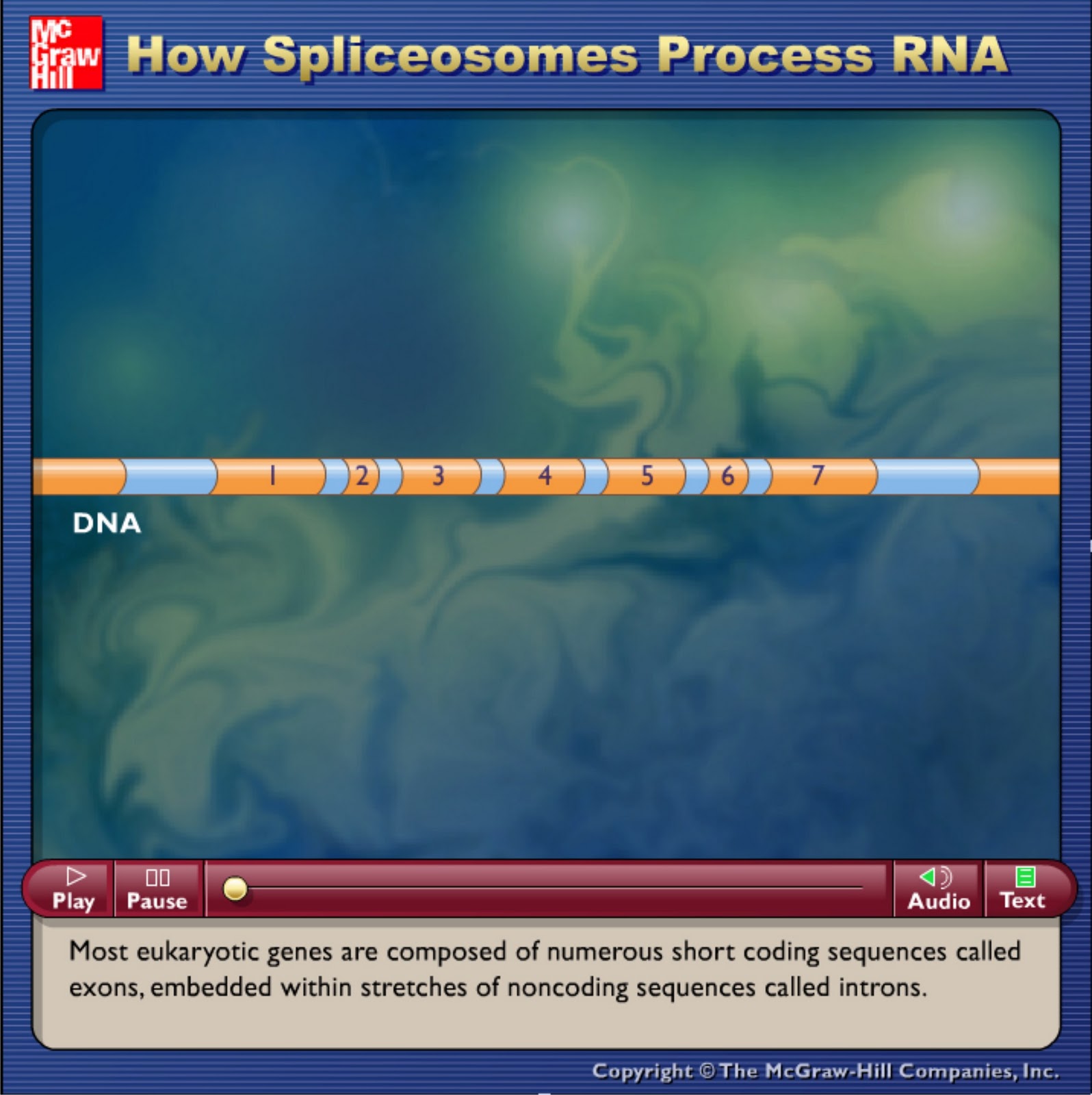 Animasi Pemotongan Intron | BIOLOGIPEDIA
