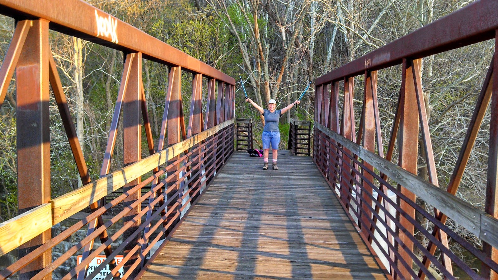 AT Section hiking: Cornelius Creek Shelter to James River Foot Bridge