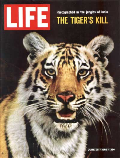 40 PORTADAS históricas de la revista LIFE +FOTOS - Forocoches