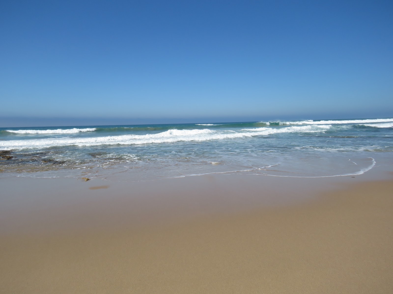 Bird & Travel Photos, Birding Sites, Bird Information: VIEWS FROM POINT ...