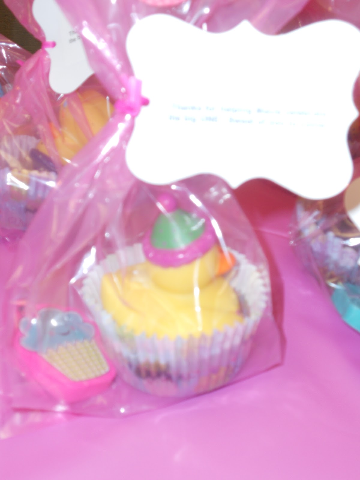 Toone Family Journey: Cupcake Themed Party!