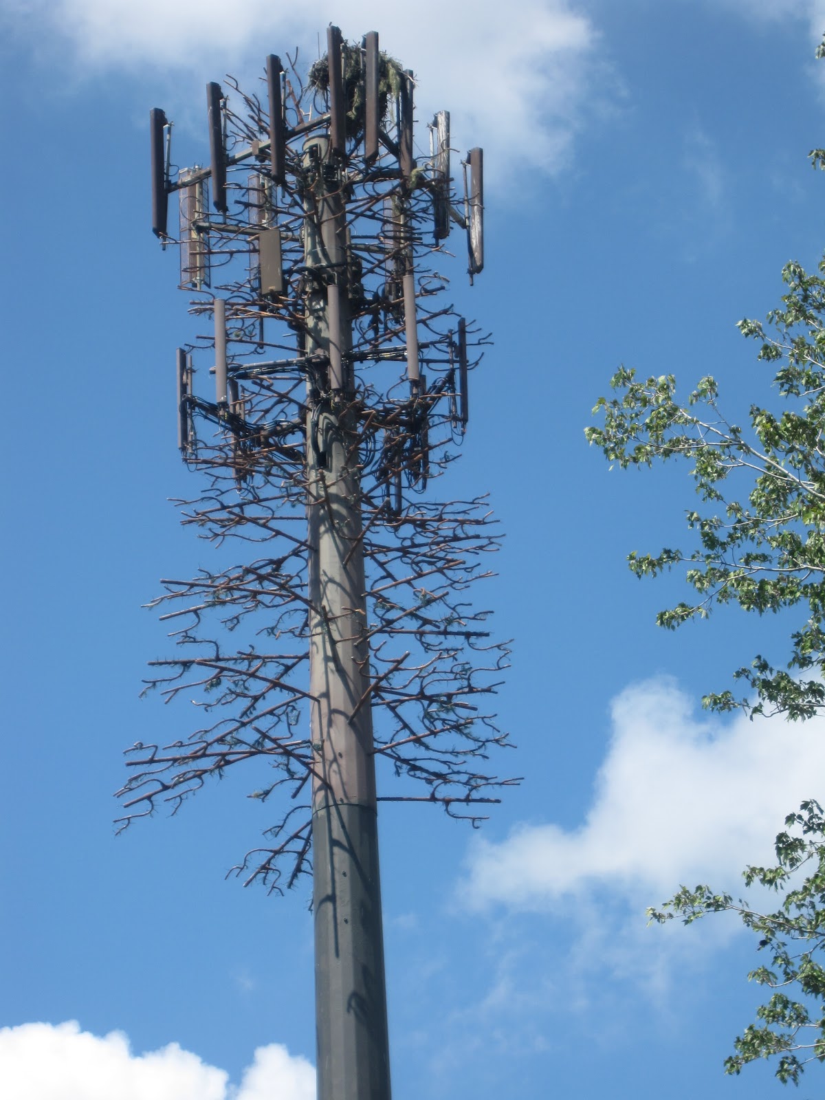 Cutting Circles: Worst Hidden Cell Phone Tower...EVER!