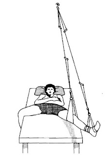 The Sciences Of Human Movements,Go Kinesiology!: SUSPENSION THERAPY