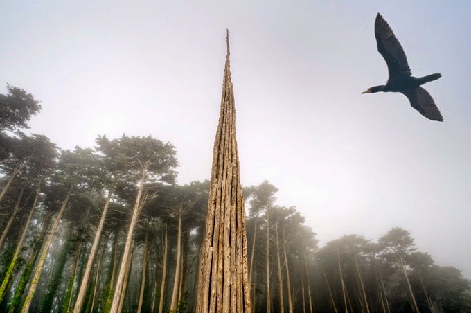 'The Spire' by Andy Goldsworthy, a marvel in San Francisco