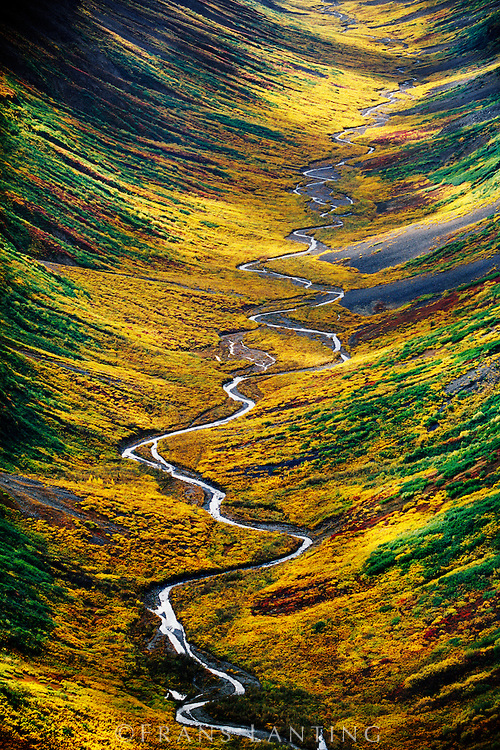 bensozia: Frans Lanting