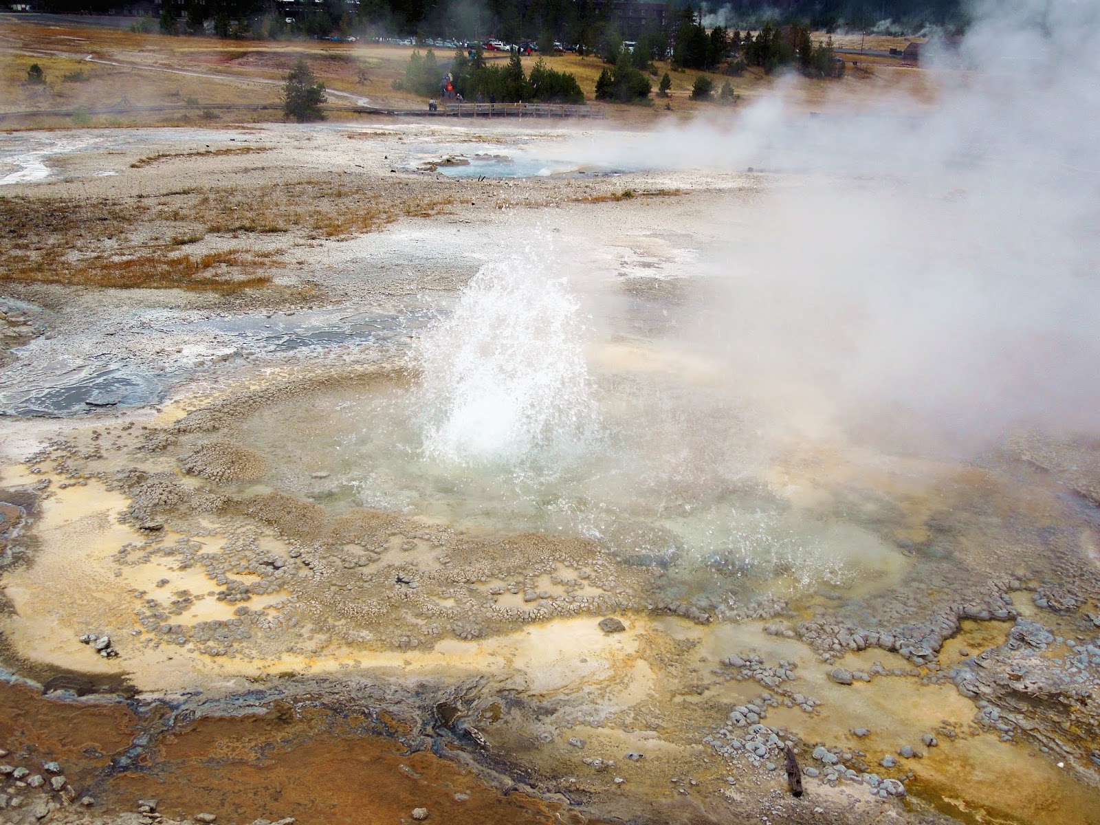 Focusing On Travel : Yellowstone: A Geyser Gazers Guide to the Upper ...