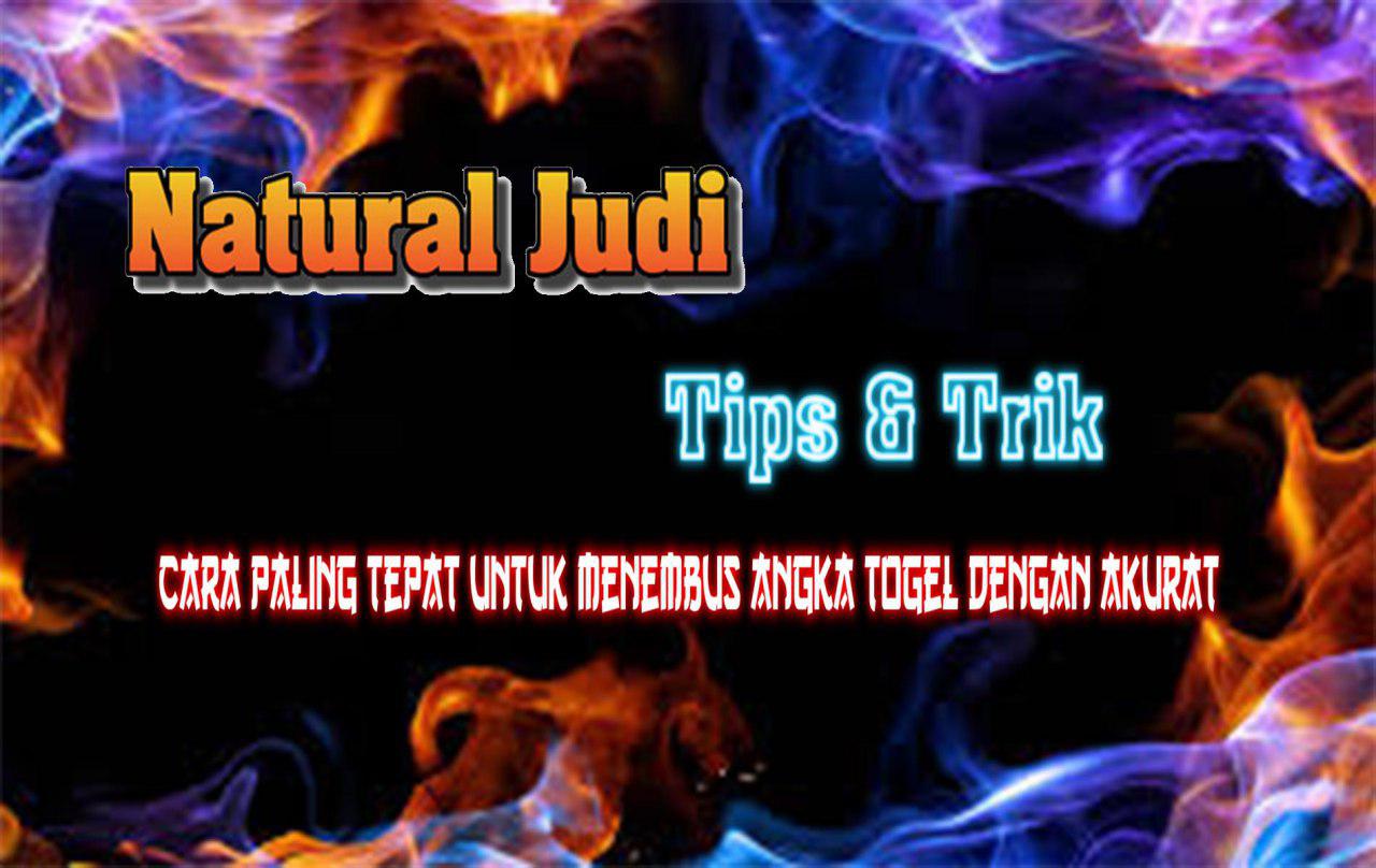 Cara Paling Tepat Untuk Menembus Angka Togel Dengan Akurat - Natural ...