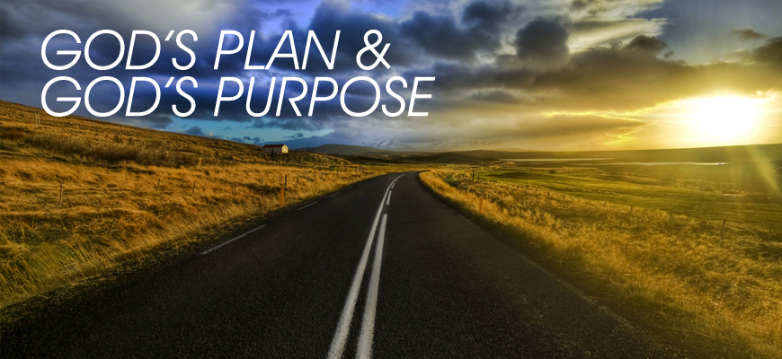 Entering His Rest: What More Am I Here For, God?