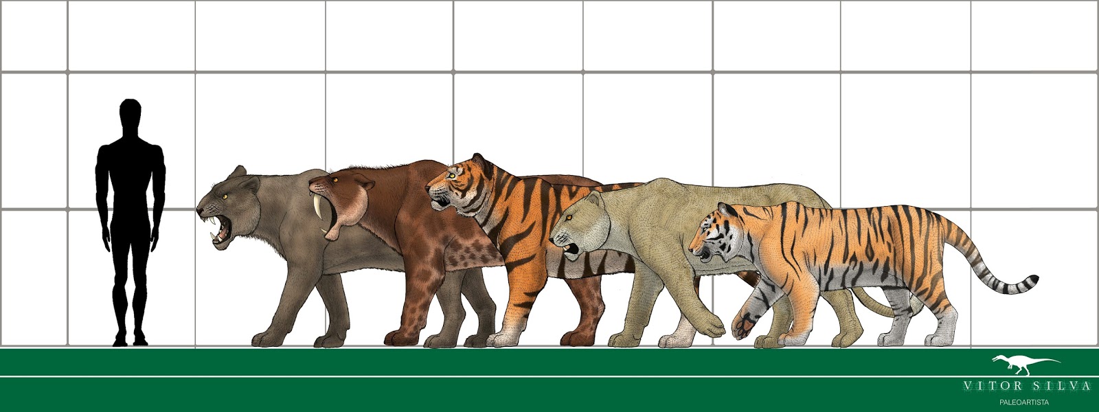 Vitor Silva - Paleoartista: Grandes felinos