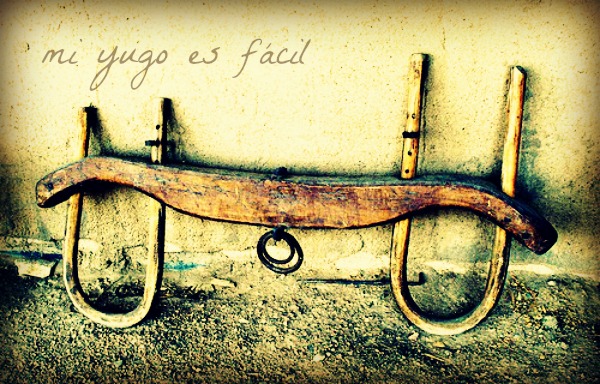 Cita Divina: LA PUERTA Y EL YUGO