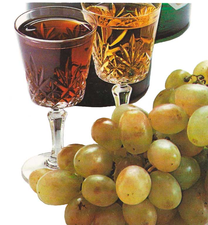 Cócteles: Jerez - Sherry - Xères