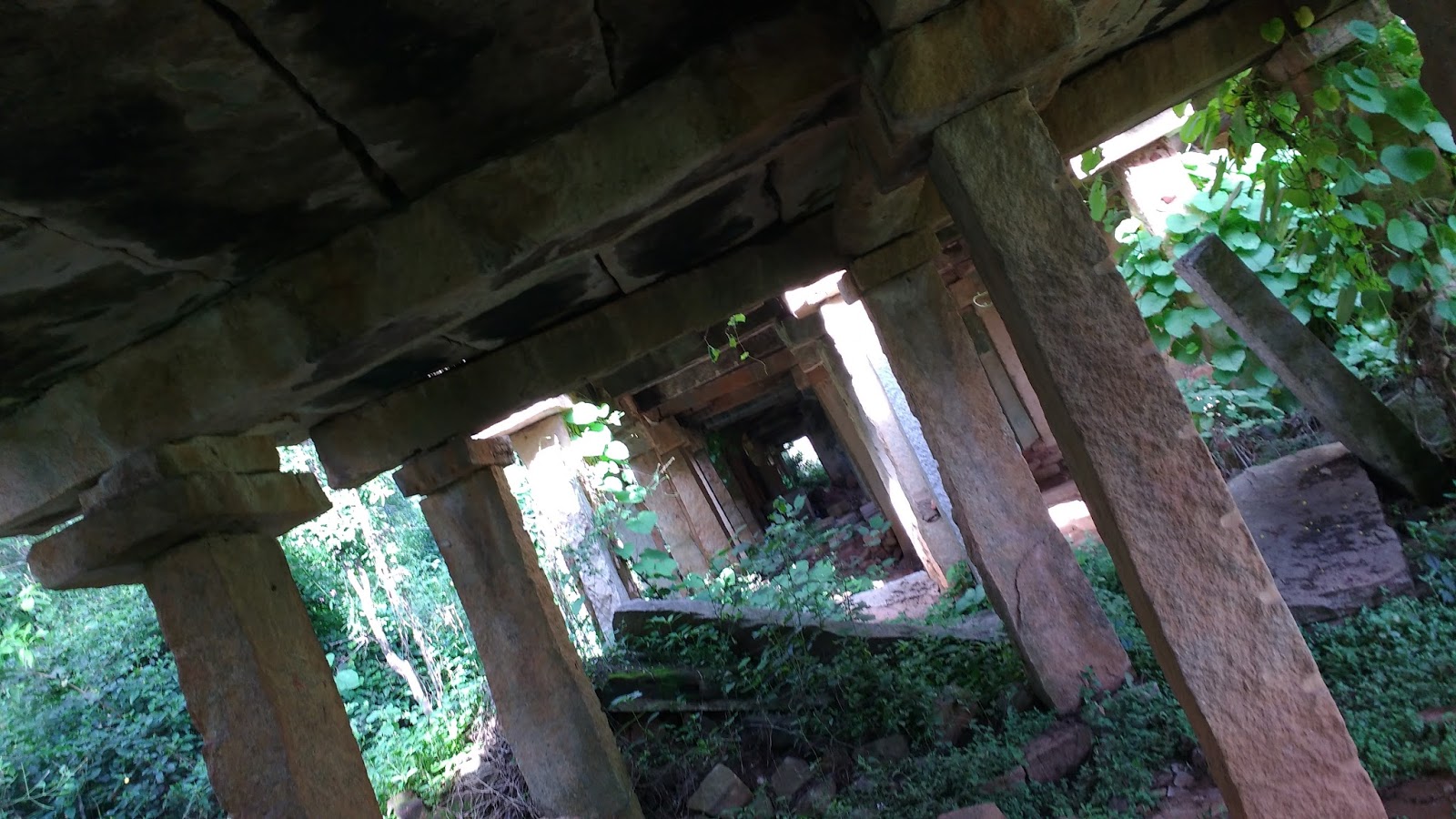 The Travel Reminiscenes: Chikkajala Fort