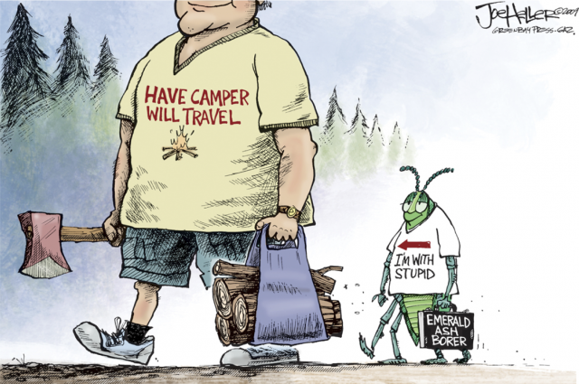 There is regret, there is deep regret, and then there is the Emerald ...