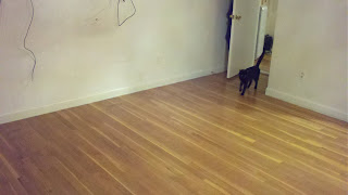 The Handyvergers: I'm NOT a Barbie Girl...