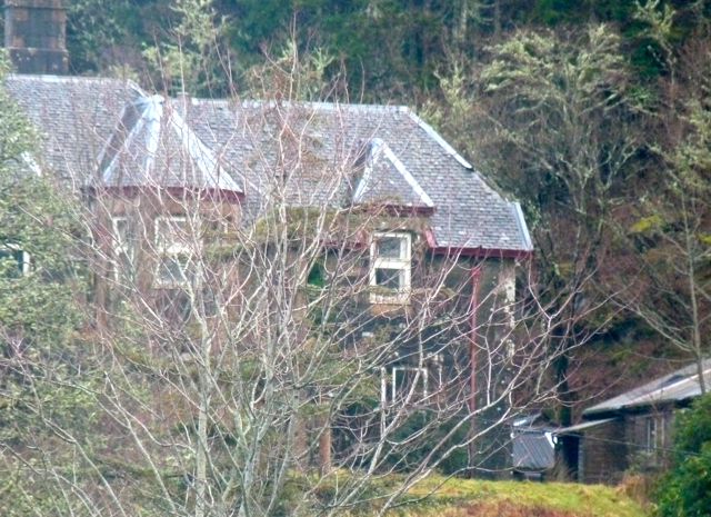 Seafield Farm Cottages: Walking in Knapdale Forest