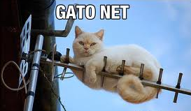 Ter SKY-GATO ou GATO-NET agora pode dar até 2 anos de cadeia ~ só ...