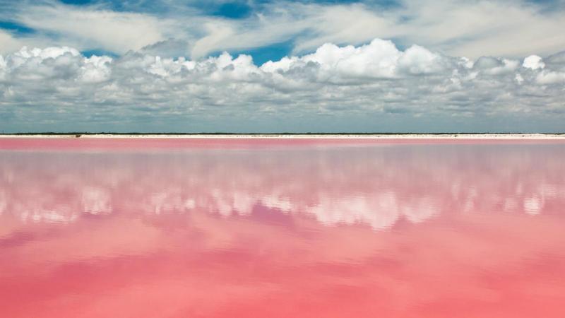 Portal do Mar: Este paraíso tem uma lagoa cor-de-rosa