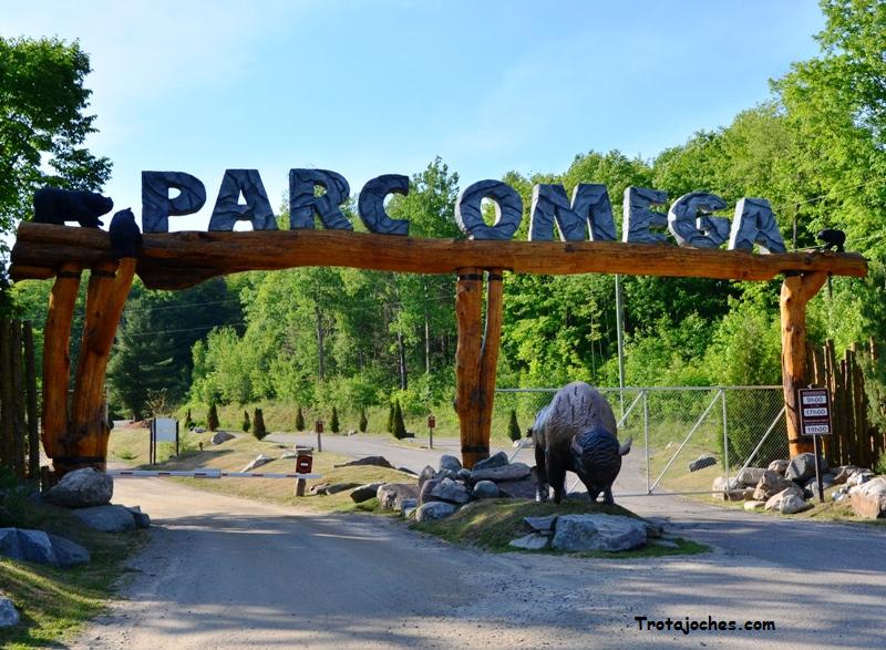 Descubre la fauna canadiense en Parc Omega. | Trotajoches