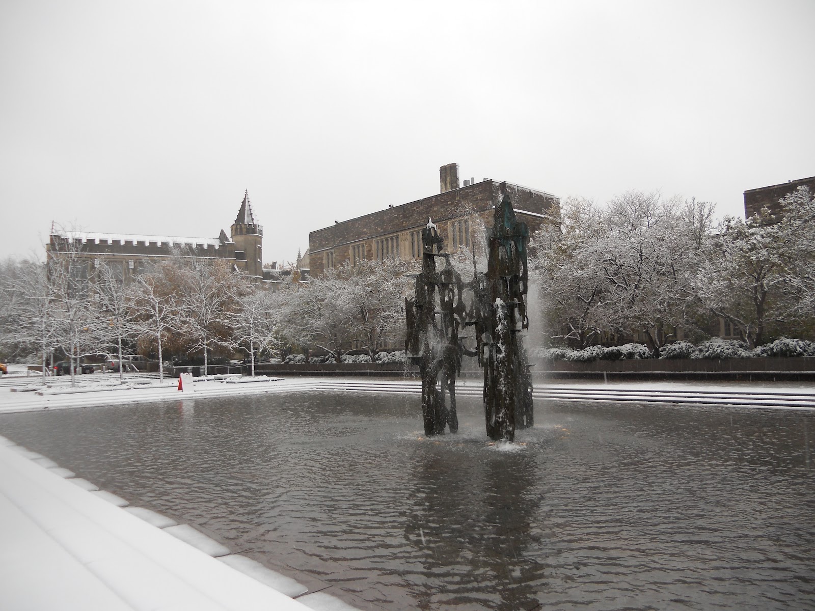 Nature Photography: First Snow at Princeton