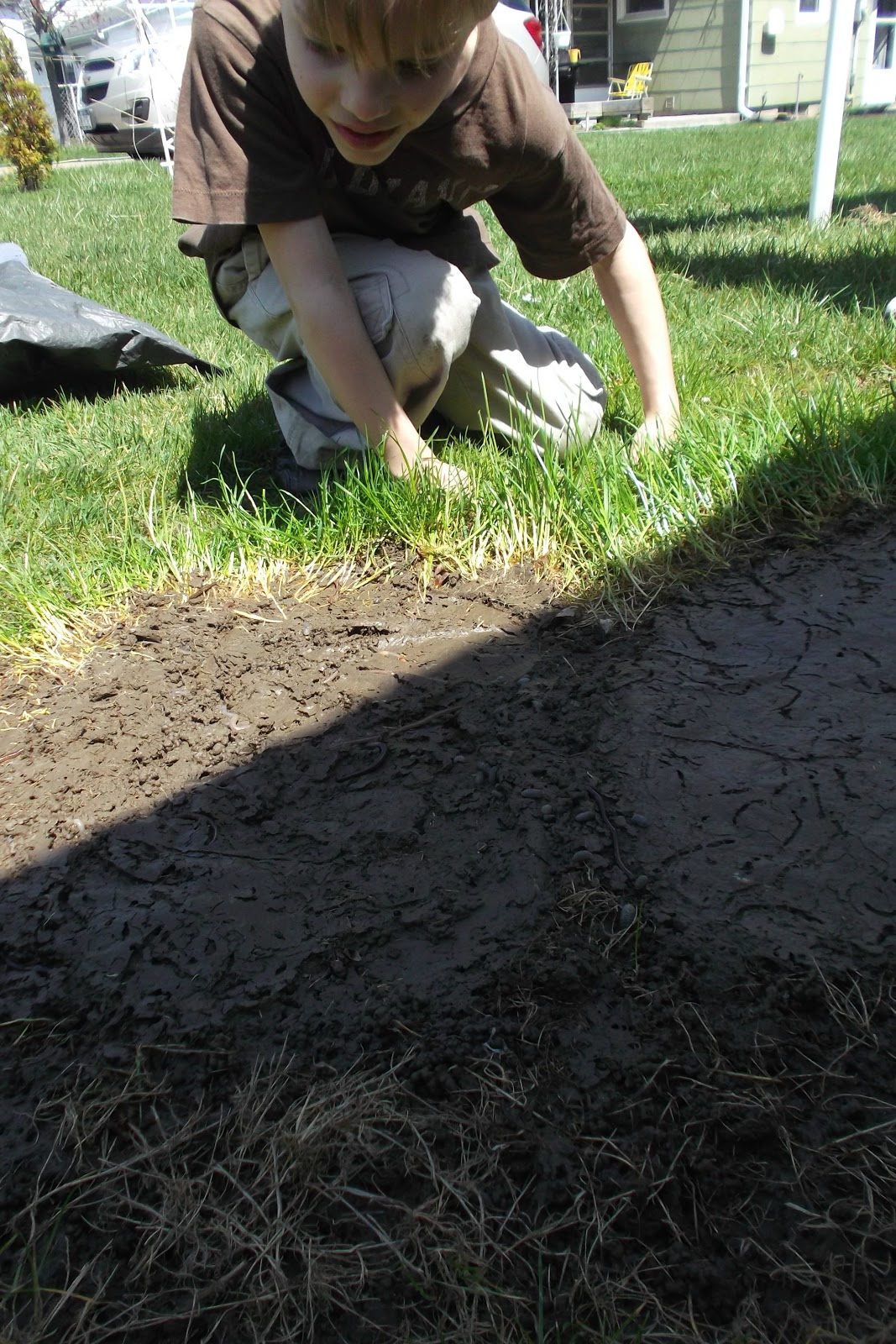 Reviews She ROTE: Wordless Wednesday--WORMS!!!!!!!!!!