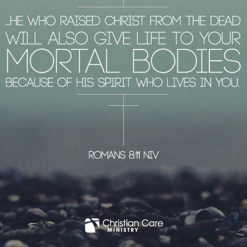 My Daily Covenant with God: He Revitalizes Our Mortal Body