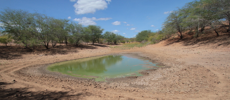 Seca no Nordeste