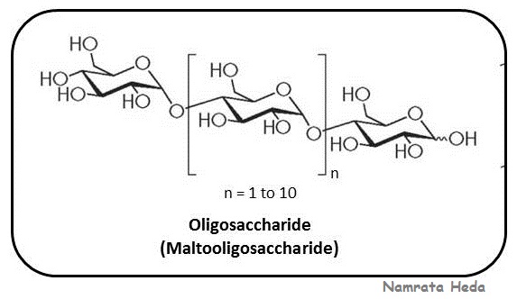 B for Biology: Biomolecules of the Cell - Carbohydrates (Part 1)