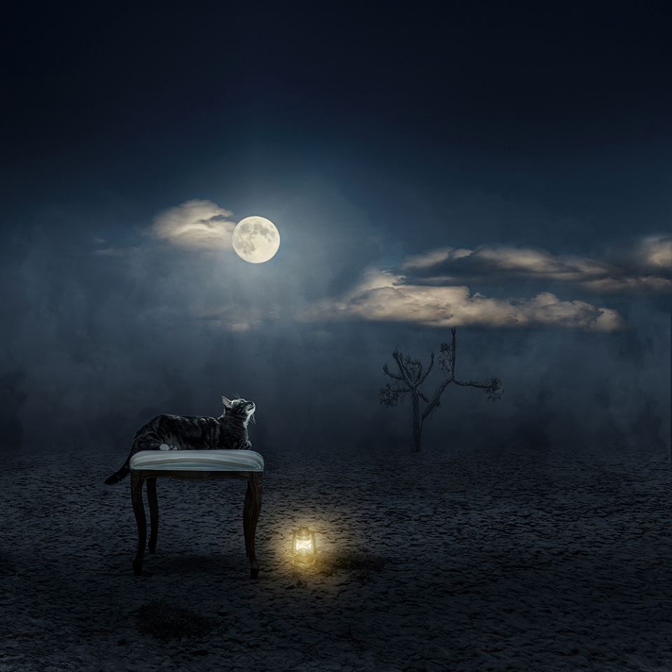 Christine Ellger, 1948 | Surrealist Fine Art Photographer | Tutt'Art ...