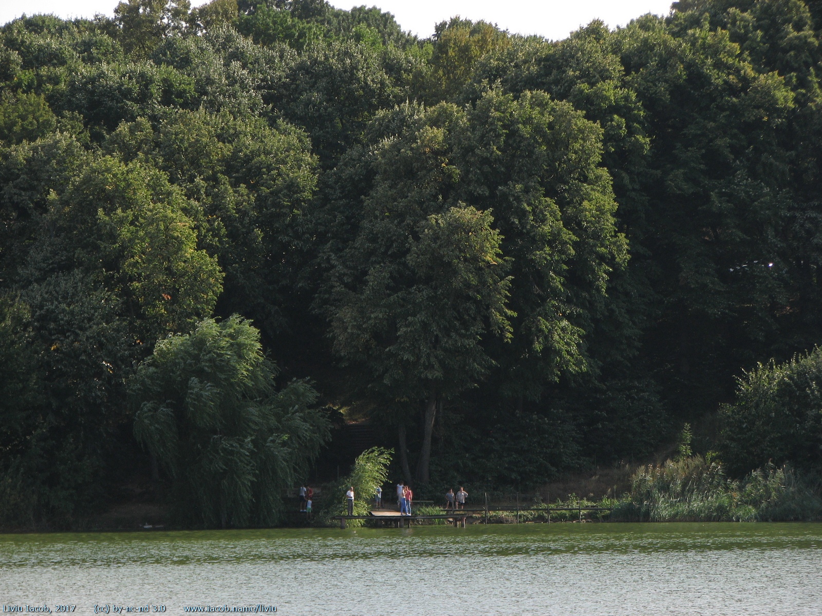 Traseu in Ilfov: Branesti (Padurea Pustnicu + Raul Pasarea ...
