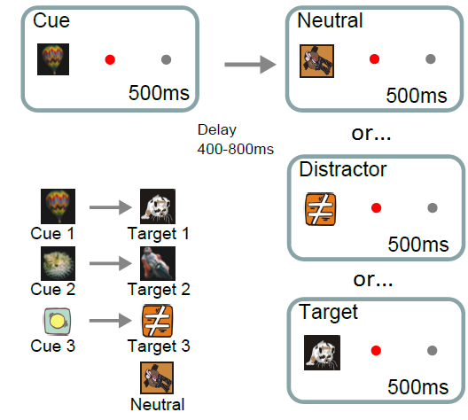 Brain Box Research Briefing Dynamic Population Coding For Flexible Cognition