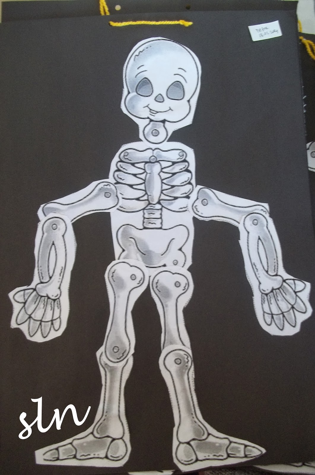 BAKIM & GÜZELLİK: İskelet sistemi